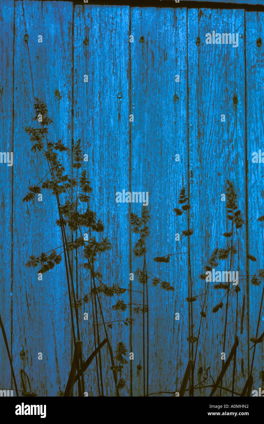 abstract blue design weather weathered barn side siding copy space ...