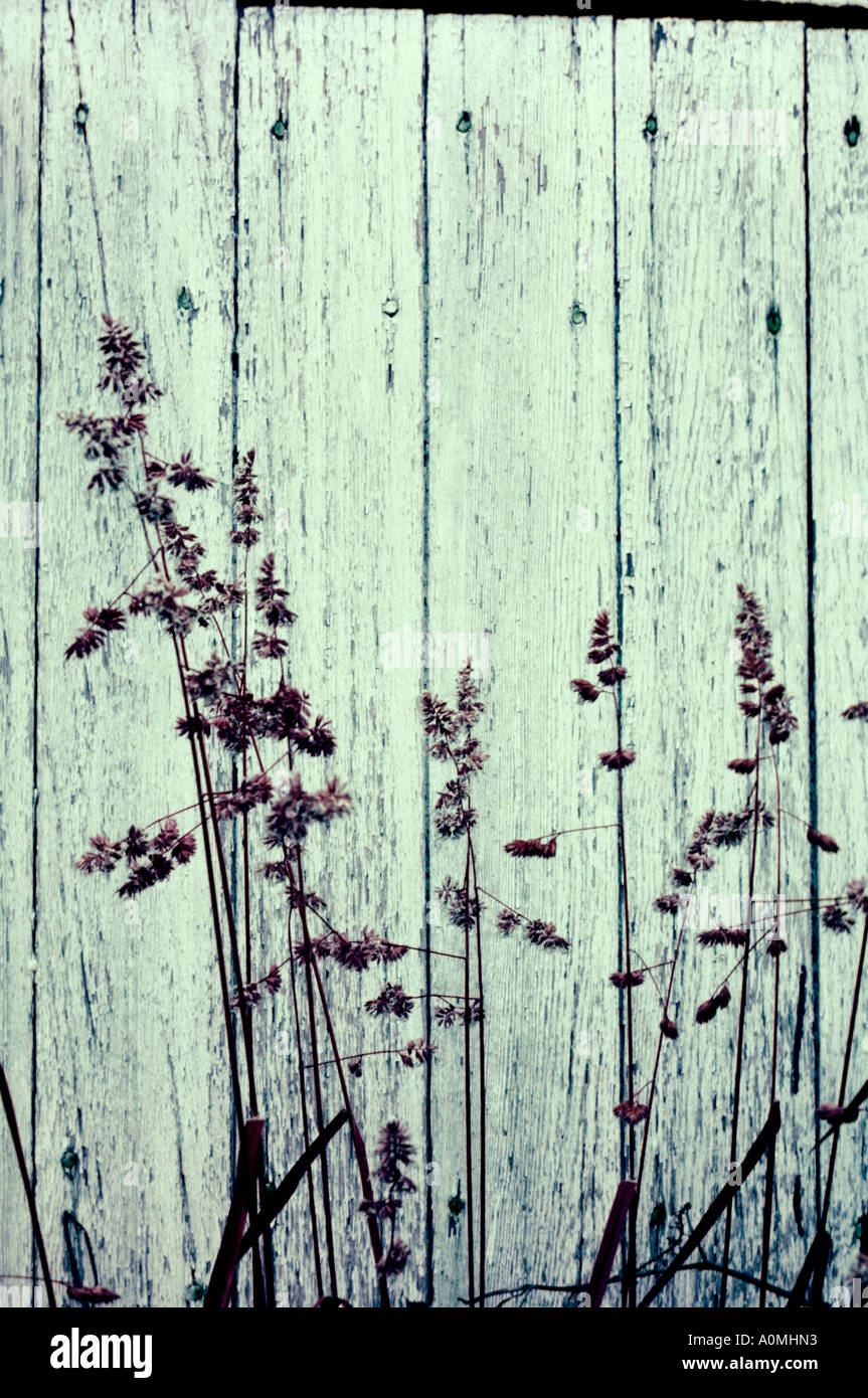 abstract barn side siding wood wooden copy space Stock Photo - Alamy