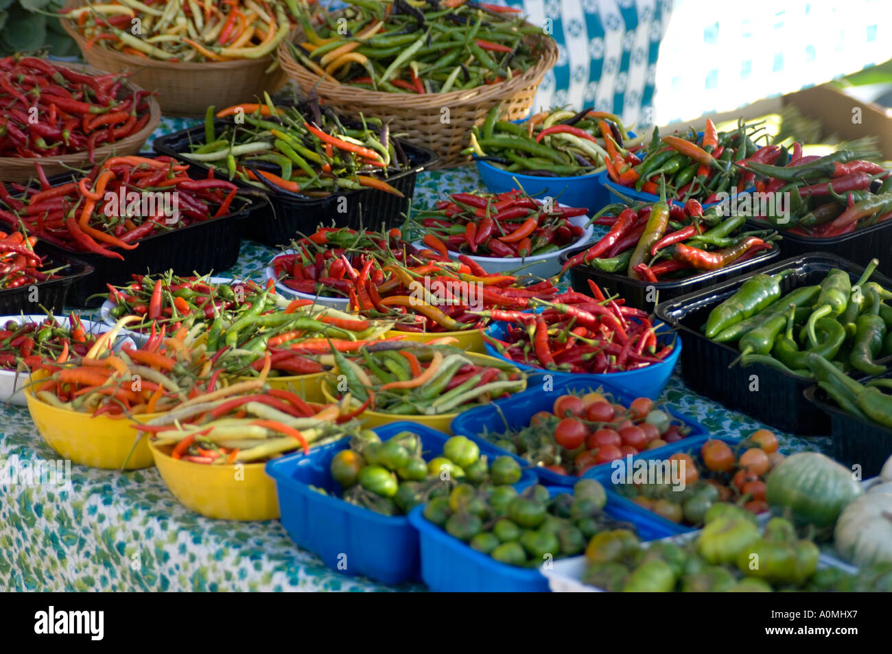 Colorful Hot Peppers Stock Photo - Alamy