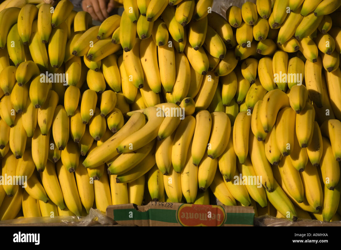 Bannanas hi-res stock photography and images - Alamy