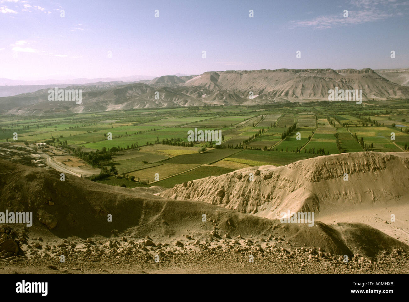 Peru Arequipa agriculture crops growing in fertile irrigated valley ...