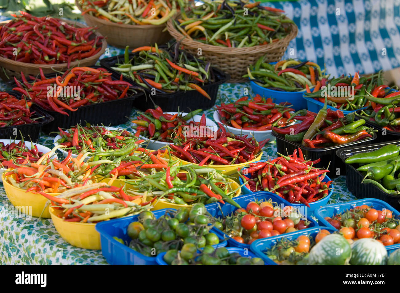 Colorful Hot Peppers Stock Photo - Alamy