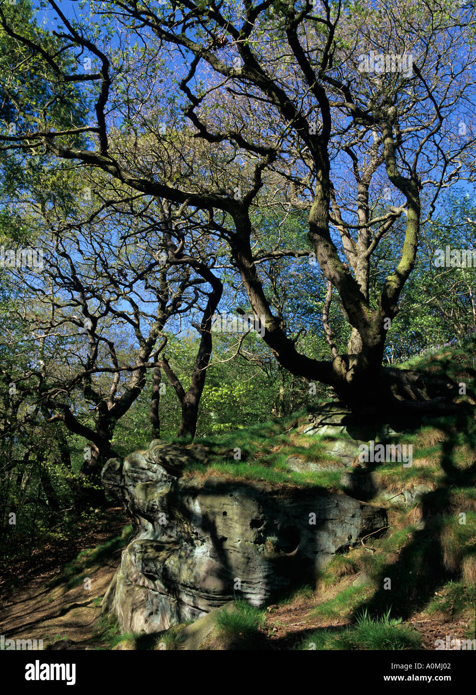 Thorner yorkshire hi-res stock photography and images - Alamy