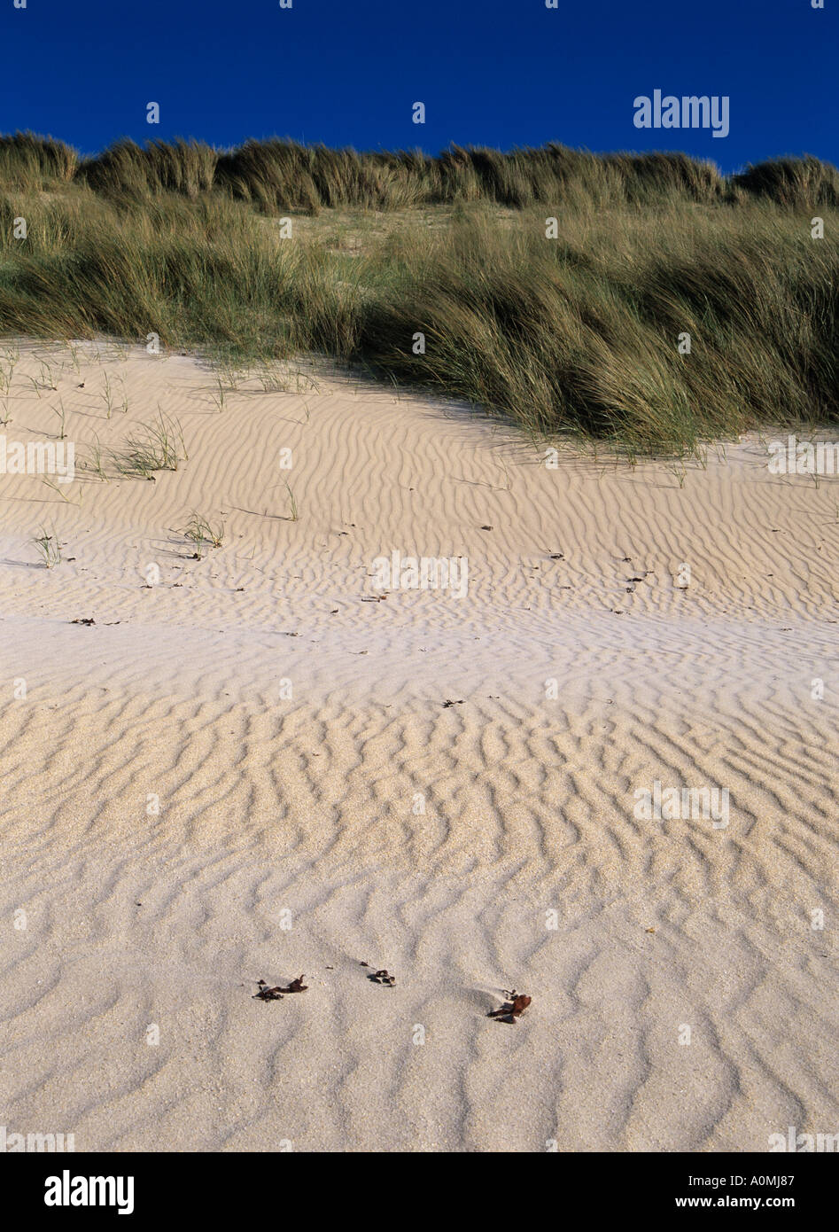 Sand dunes on Feall Beach on the Island of Coll on an early evening in ...