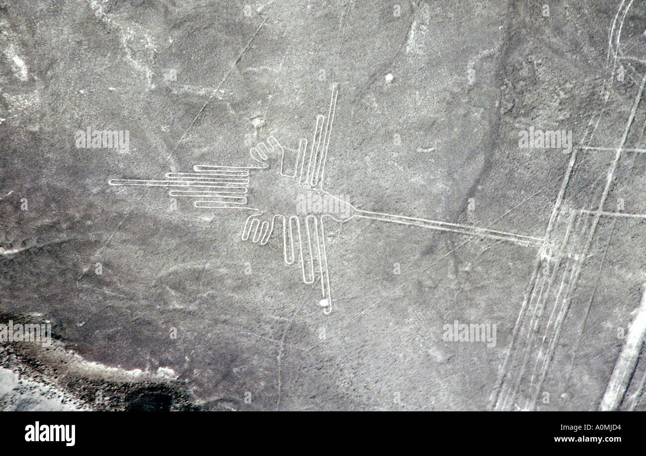 Hummingbird, Nazca Lines, Nazca, Peru, South America Stock Photo - Alamy