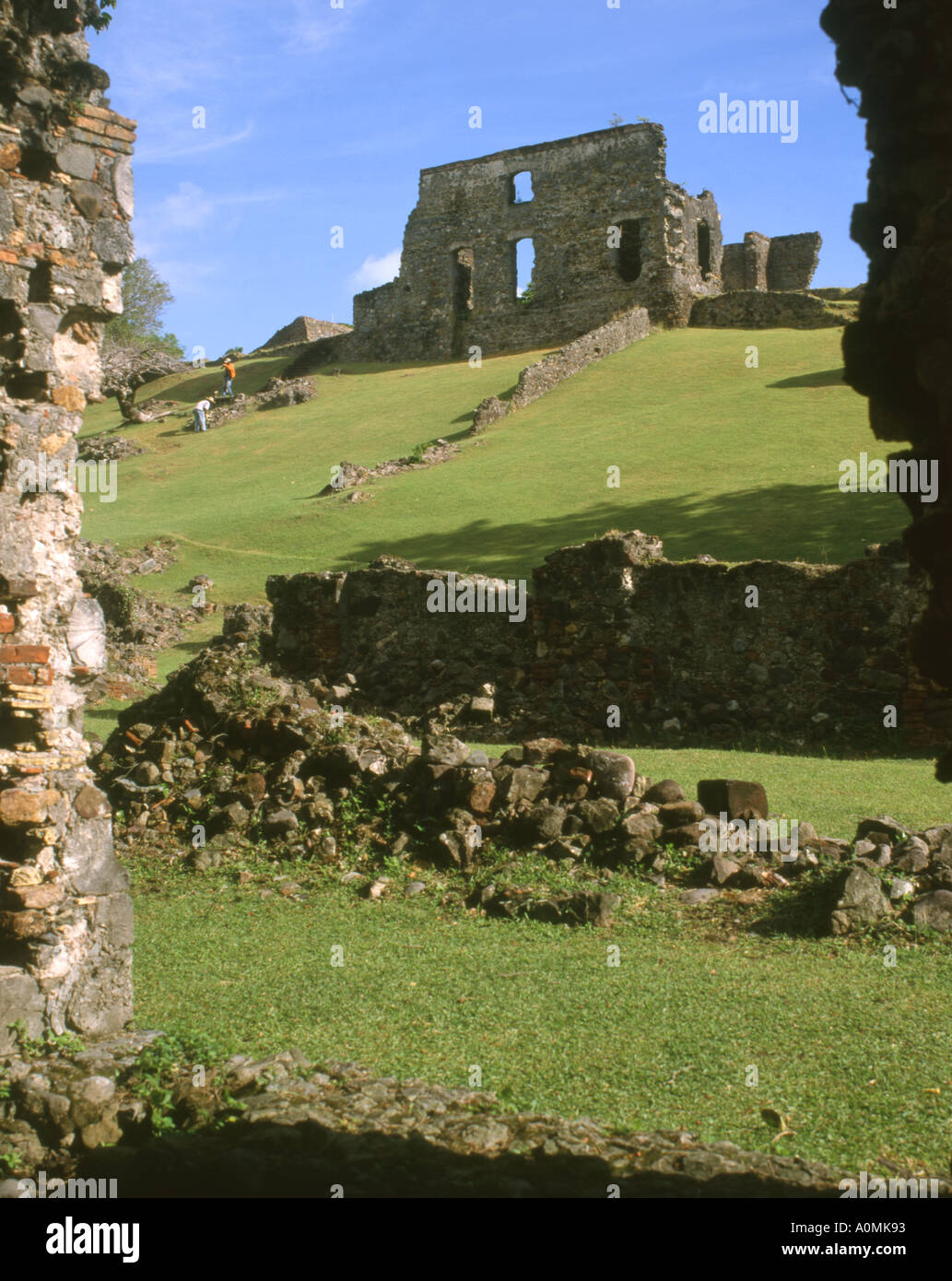 Dubuc martinique hi-res stock photography and images - Alamy