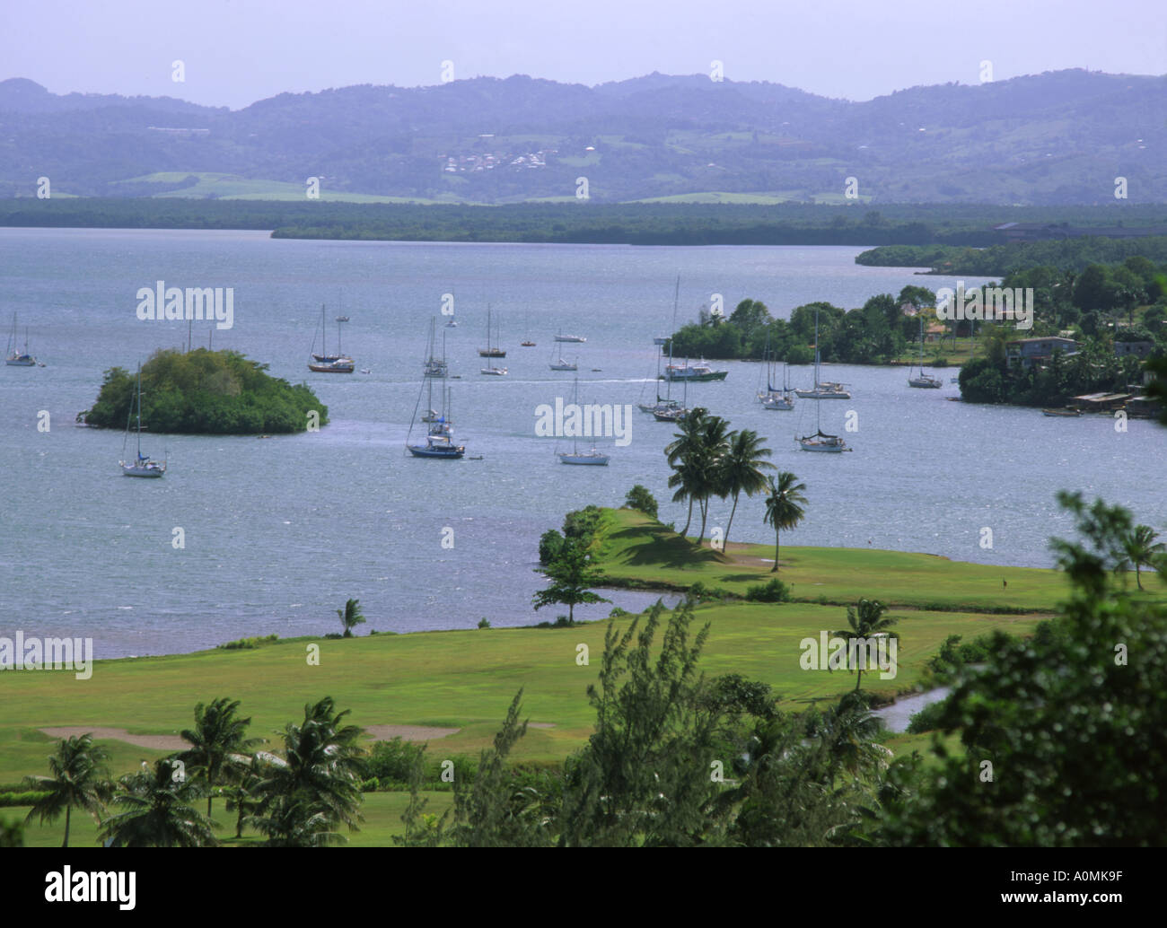 Martinique Trois Islets Stock Photo - Alamy