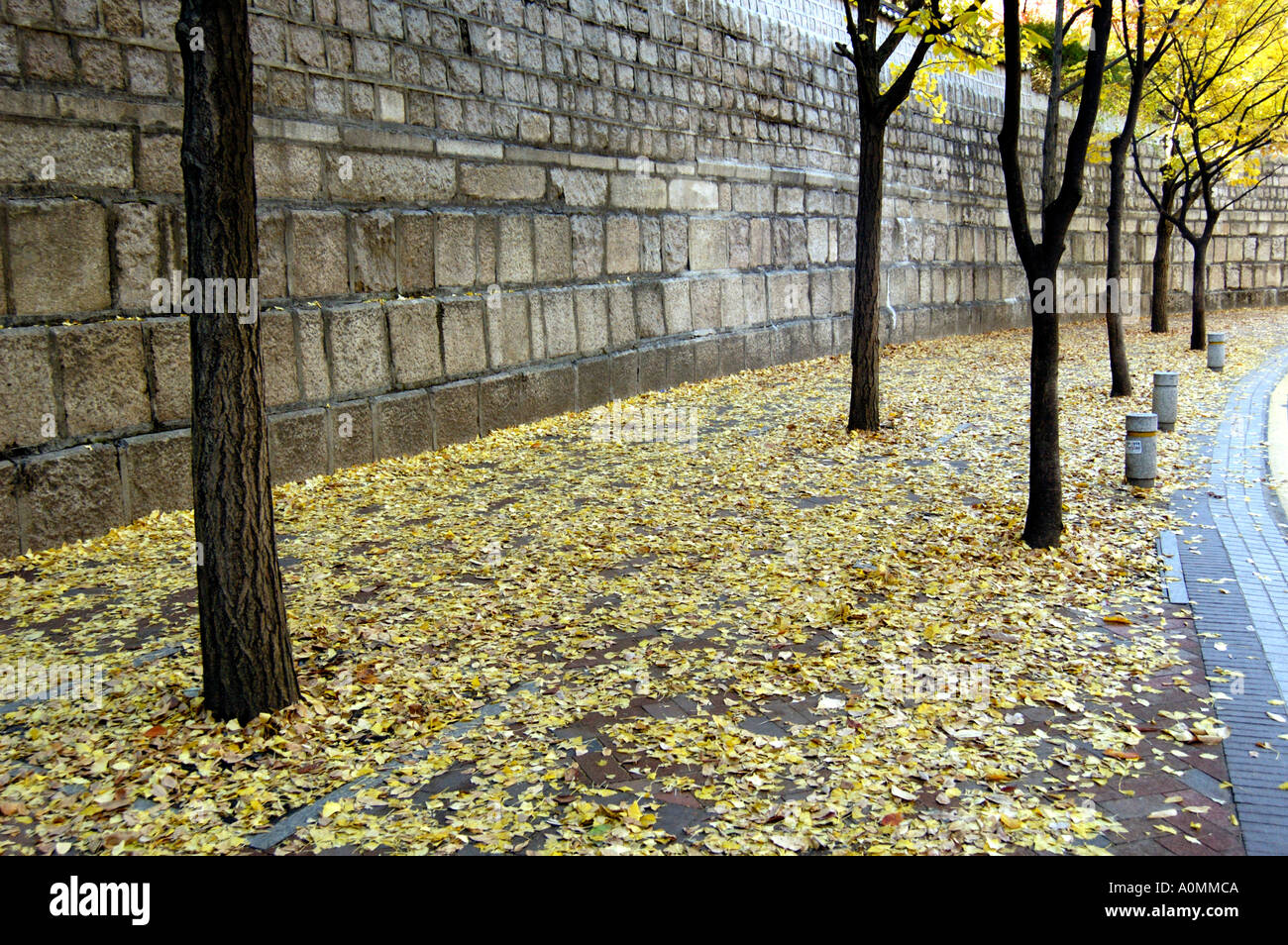 Fallen street hi-res stock photography and images - Alamy