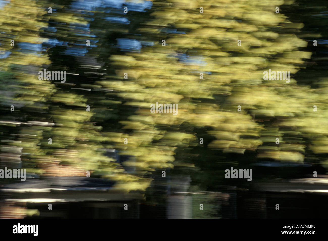 motion movement blur Stock Photo - Alamy
