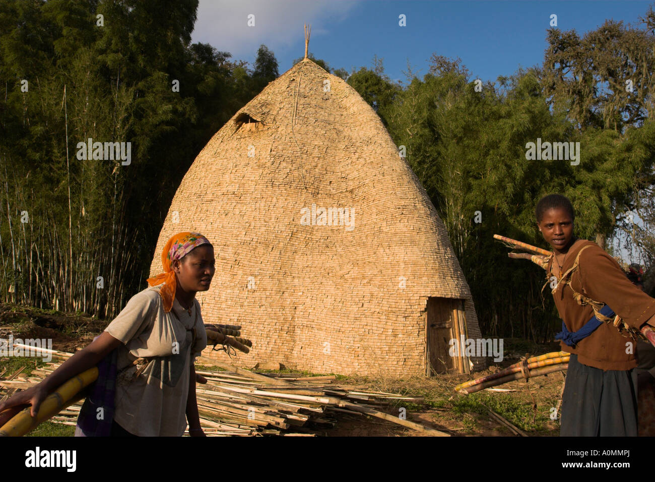 ETHIOPIA Chencha mountains Traditional beehive house of the Dorze ...