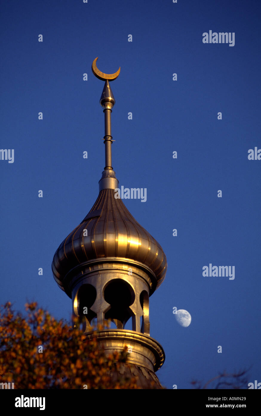 Minarets at University of Tampa with moon Stock Photo - Alamy