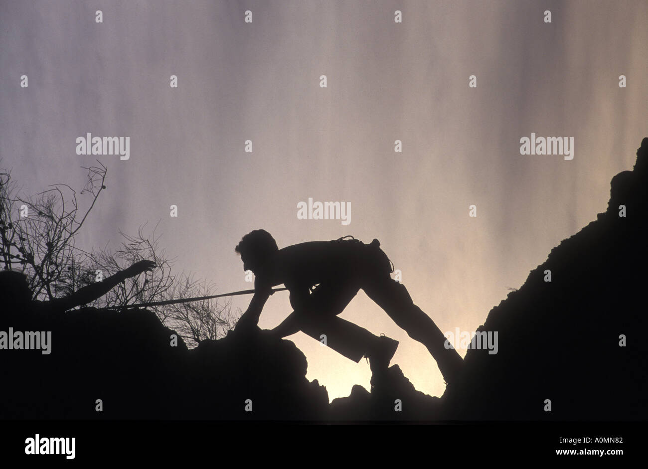 2003 miller hi-res stock photography and images - Alamy