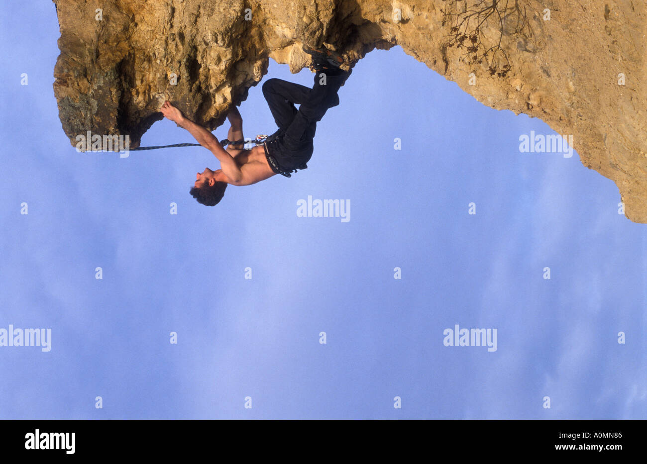 2003 miller hi-res stock photography and images - Alamy