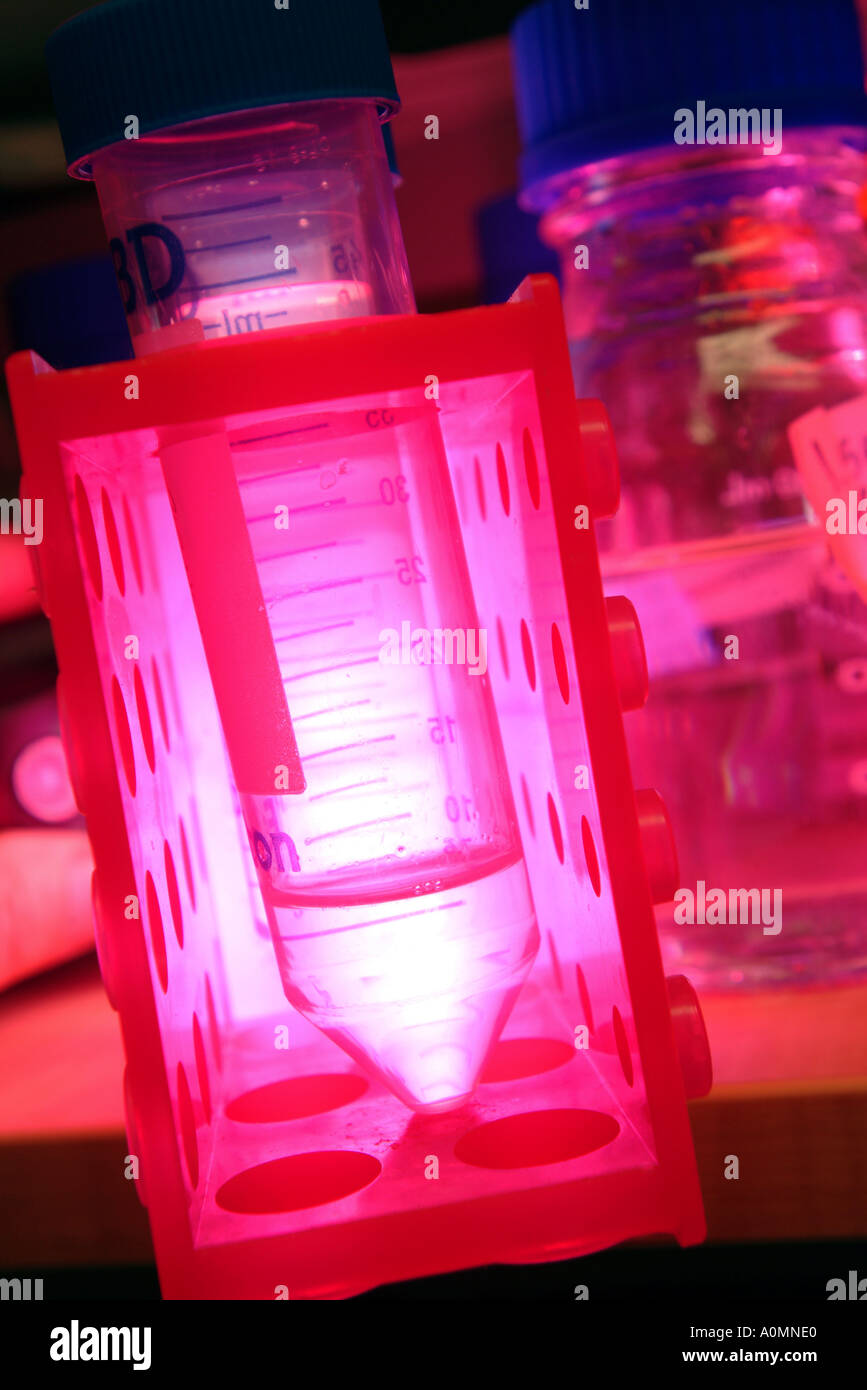 scientific testing equipment, photo by Bruce Miller Stock Photo - Alamy