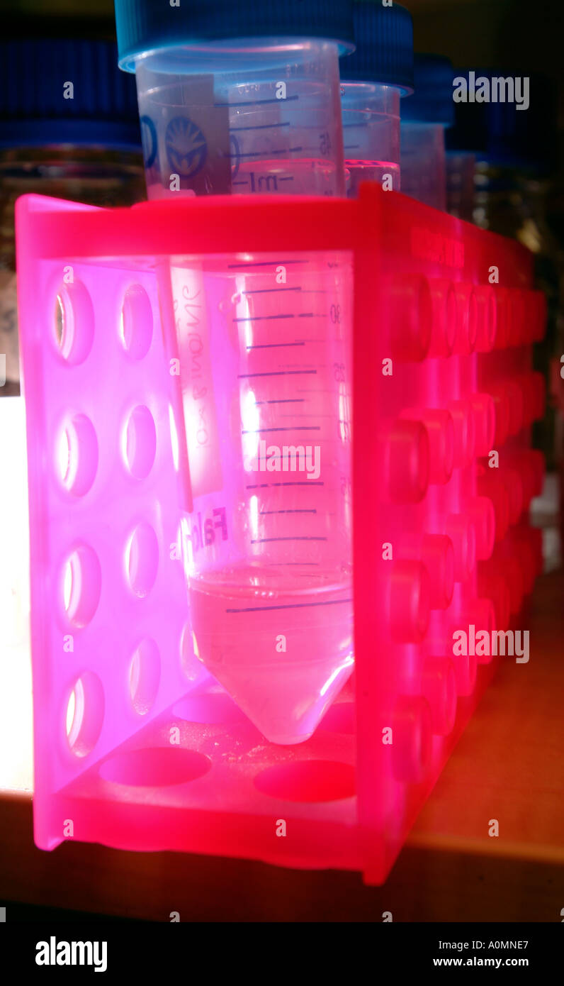 scientific testing equipment, photo by Bruce Miller Stock Photo - Alamy