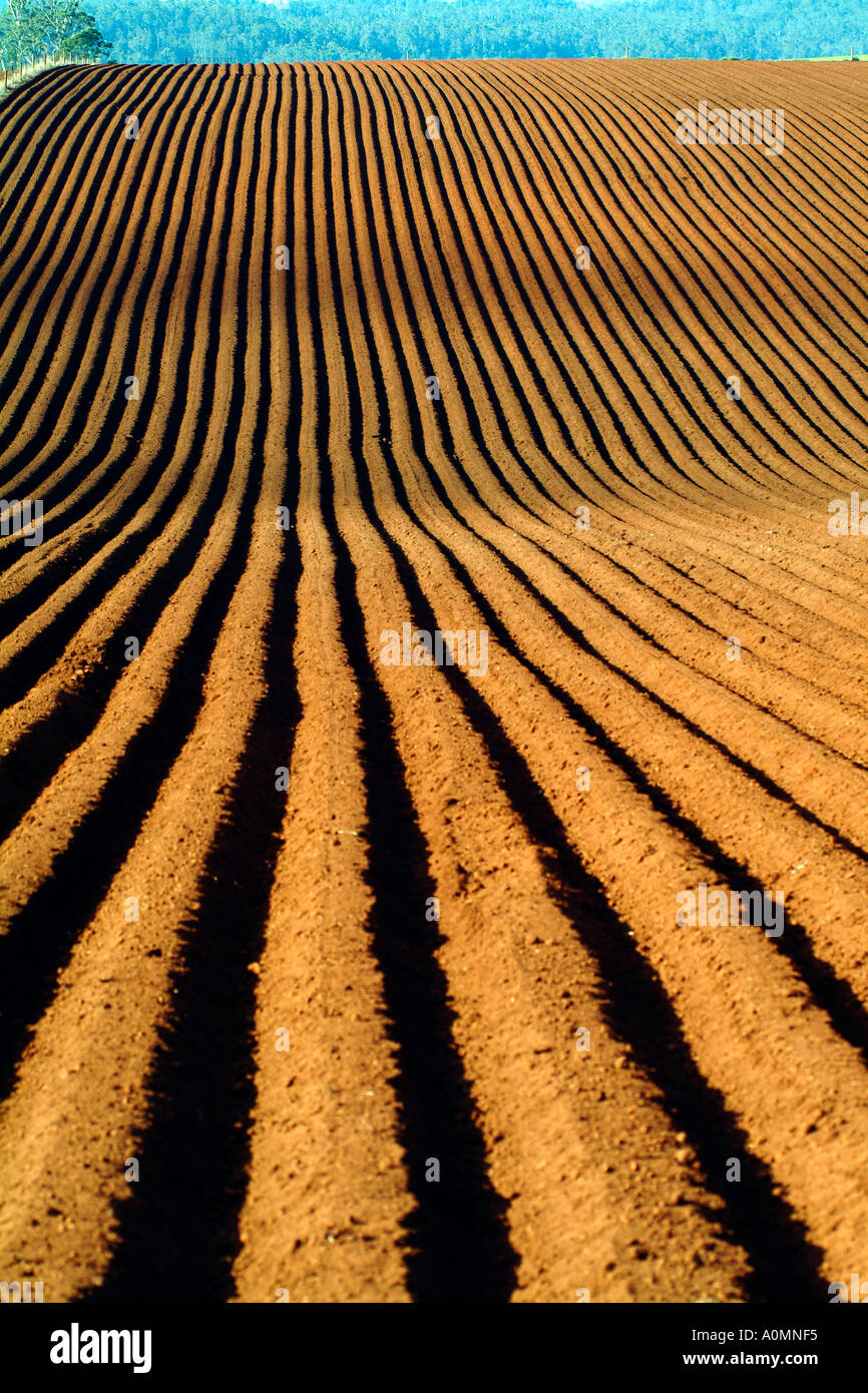 tilled soil, photo by Bruce Miller 11 2004 Stock Photo - Alamy