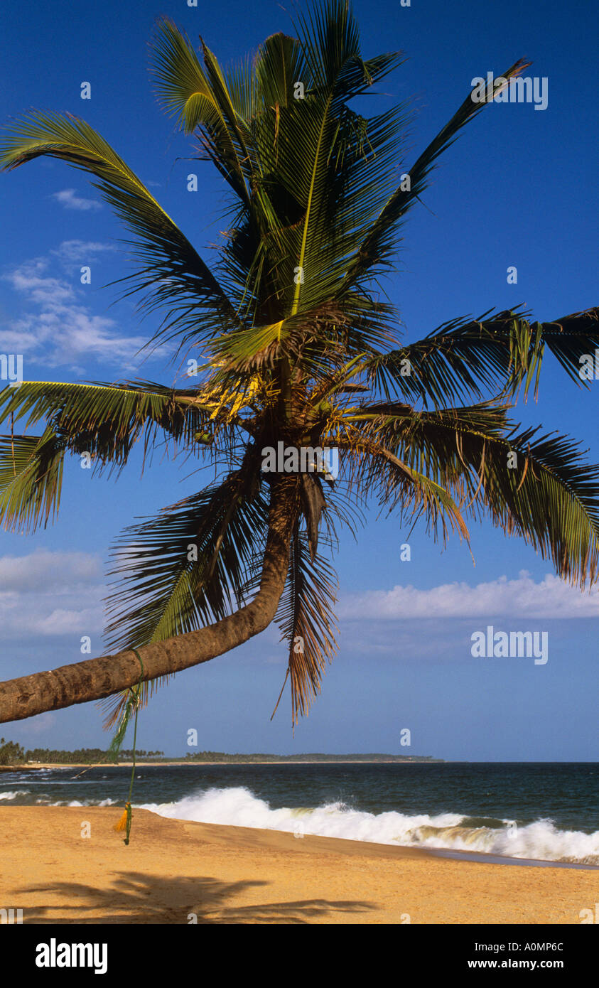 Tangalla Beach Sri Lanka Stock Photo - Alamy