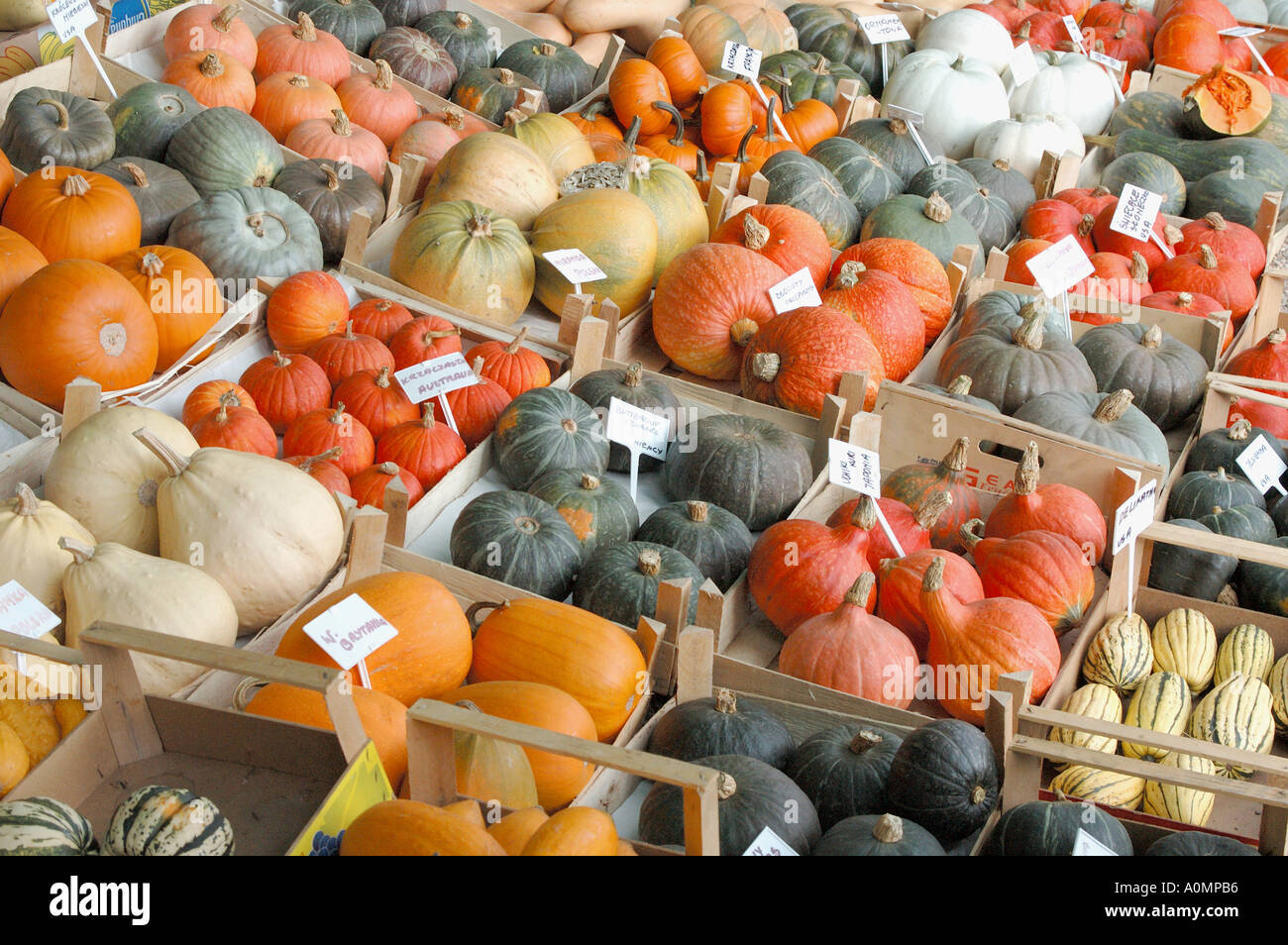 Pumpkins in boxes hi-res stock photography and images - Alamy