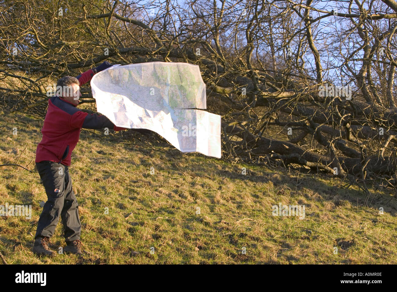 Blown away by strong wind hi-res stock photography and images - Alamy