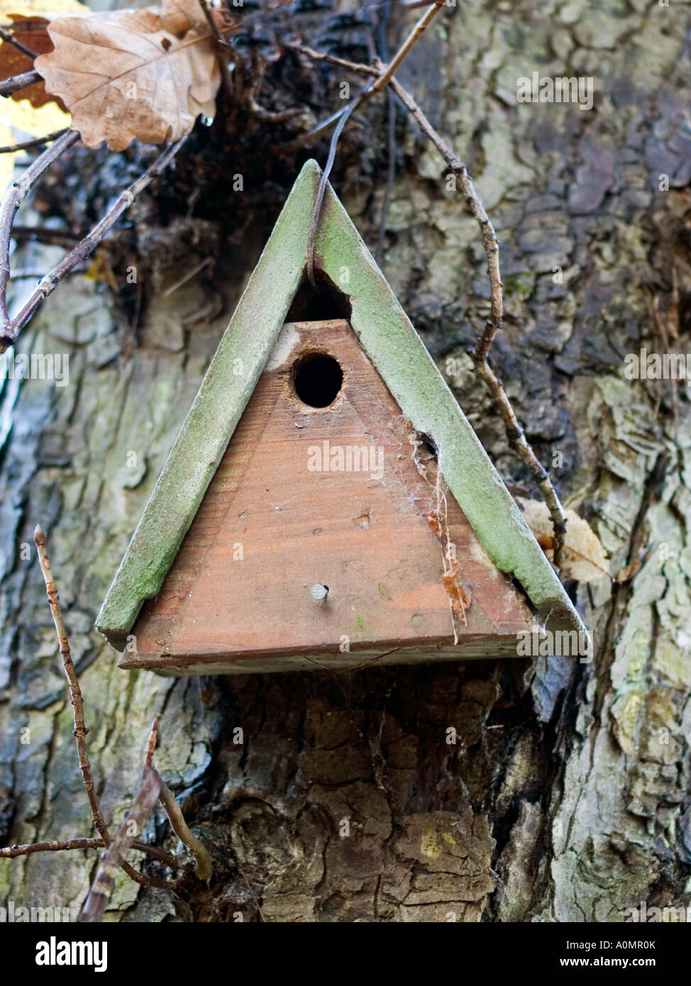 bird house box hanging on tree Stock Photo - Alamy