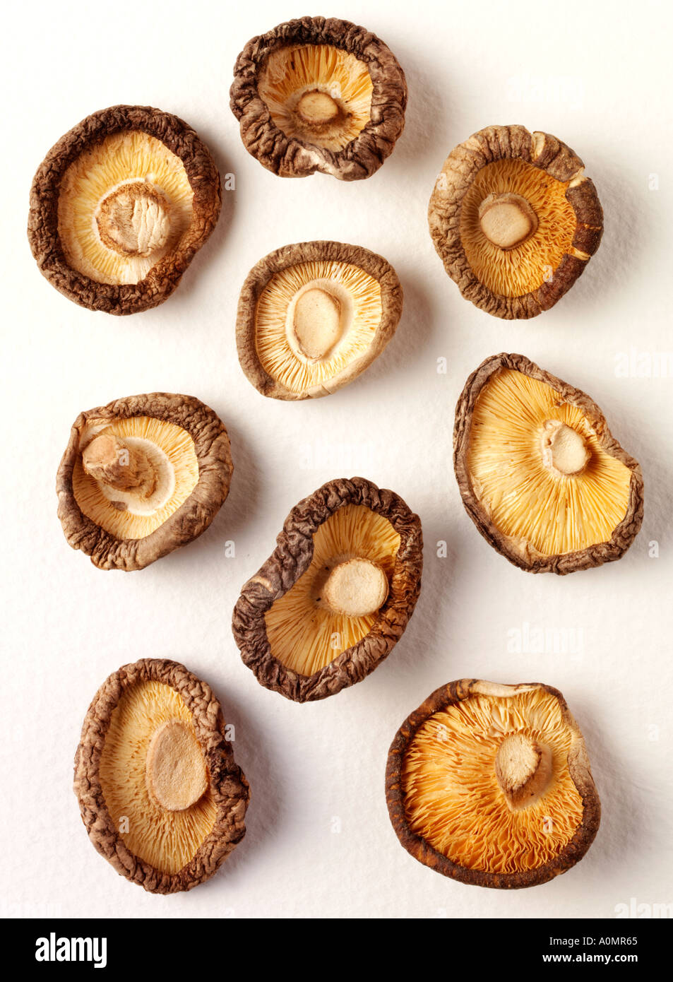 Chinese funghi hi-res stock photography and images - Alamy