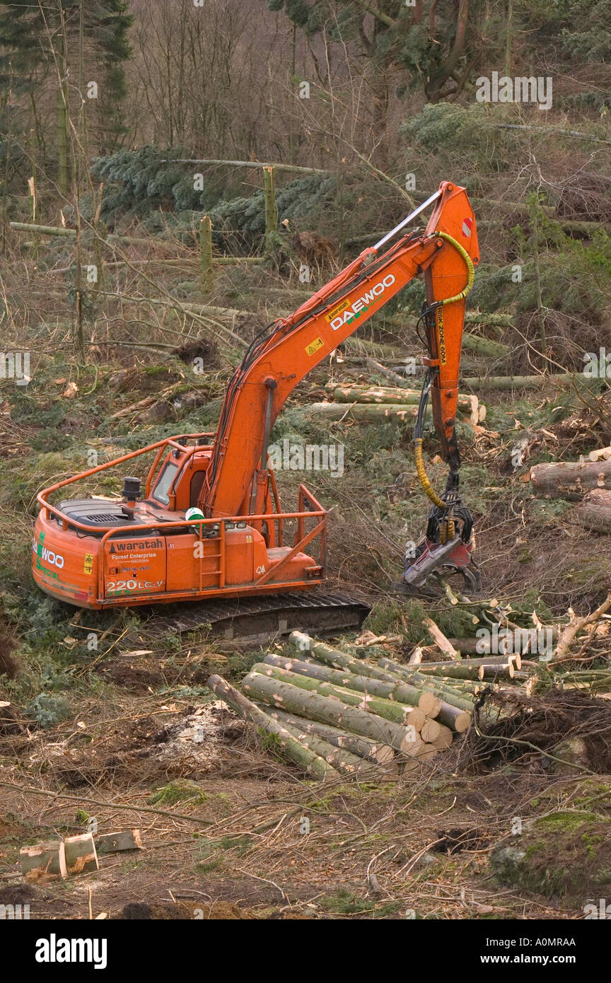 clearing up strom damage in Grizedale forest following the jan 2005 ...