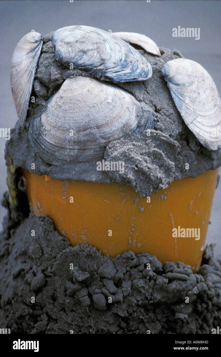 yellow bucket packed with sand sea shells copy space Stock Photo - Alamy