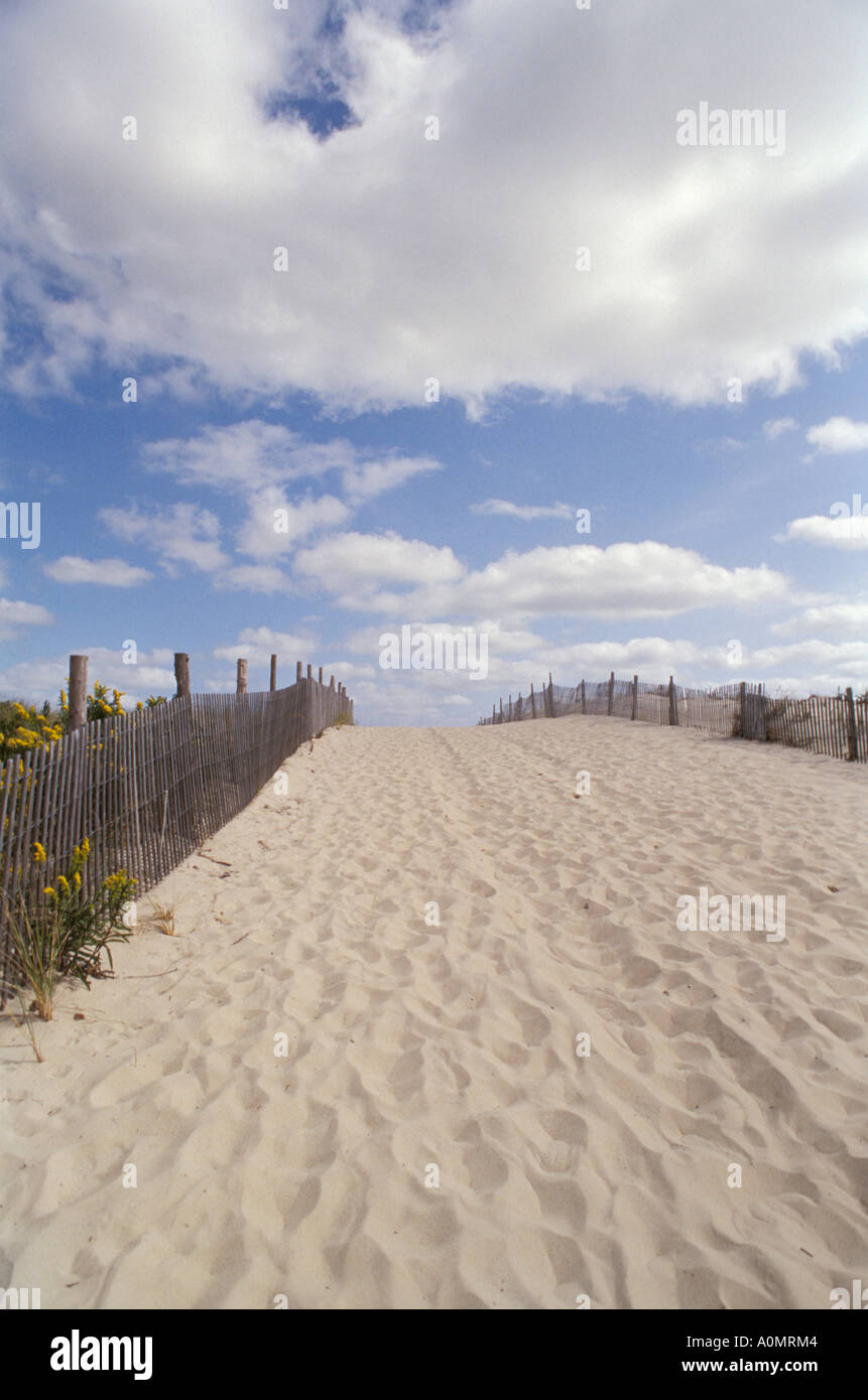 sand sandy path to beach Beach Rehoboth Beach Delaware USA beachcomber ...