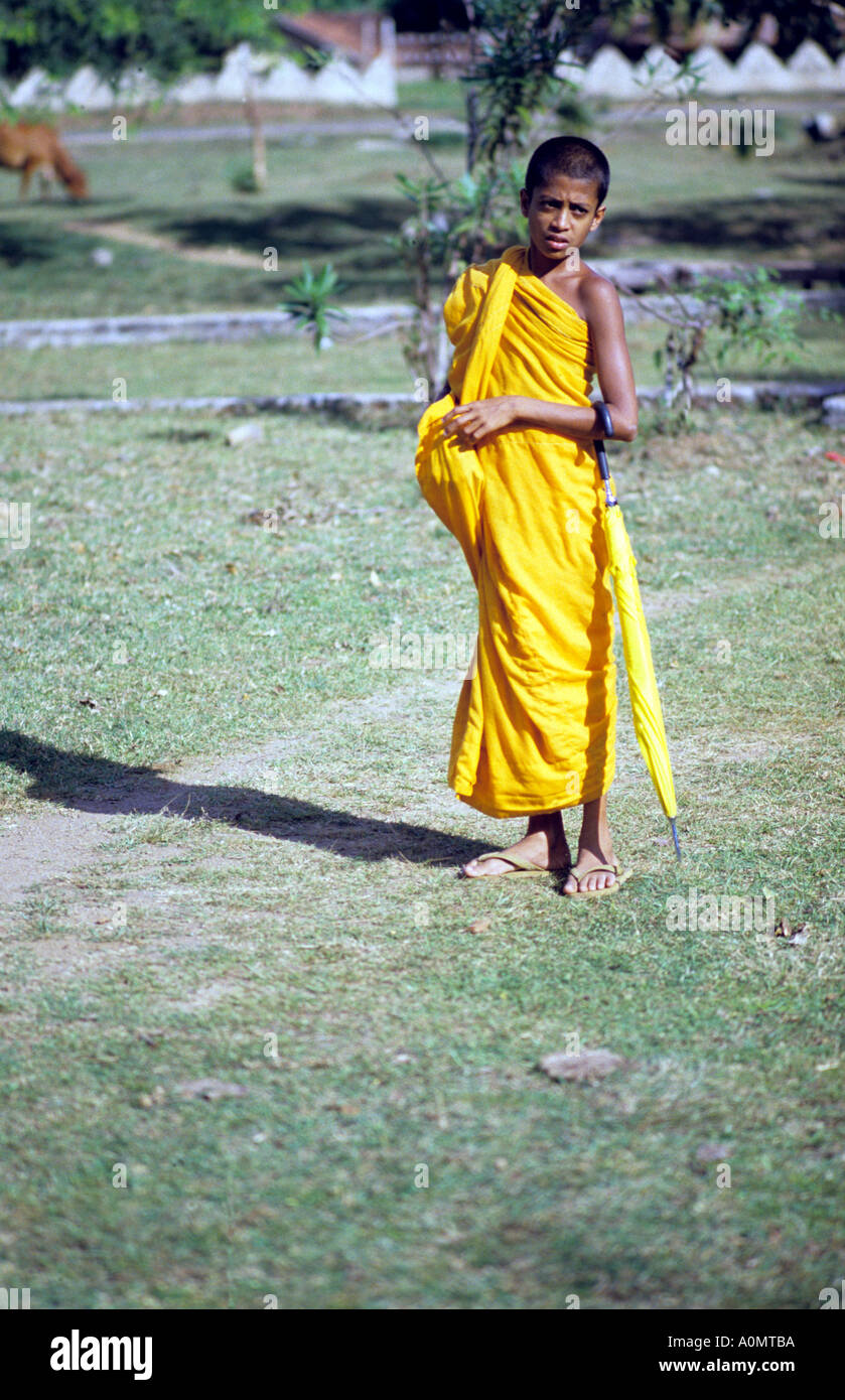 Monk yellow umbrella hi-res stock photography and images - Alamy