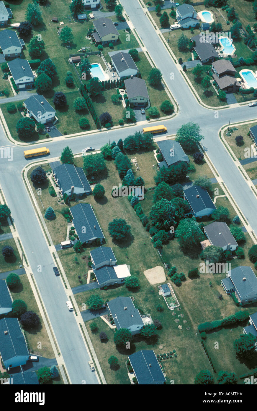 aerial view suburb suburban landscape house streets yellow school bus ...