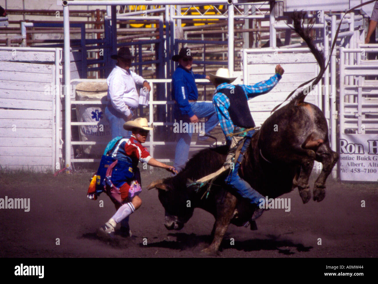 Rodeo Alberta Canada Bull Riding Stock Photo - Alamy