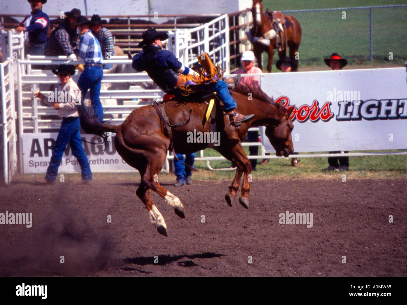 Team battle of alberta hi-res stock photography and images - Alamy