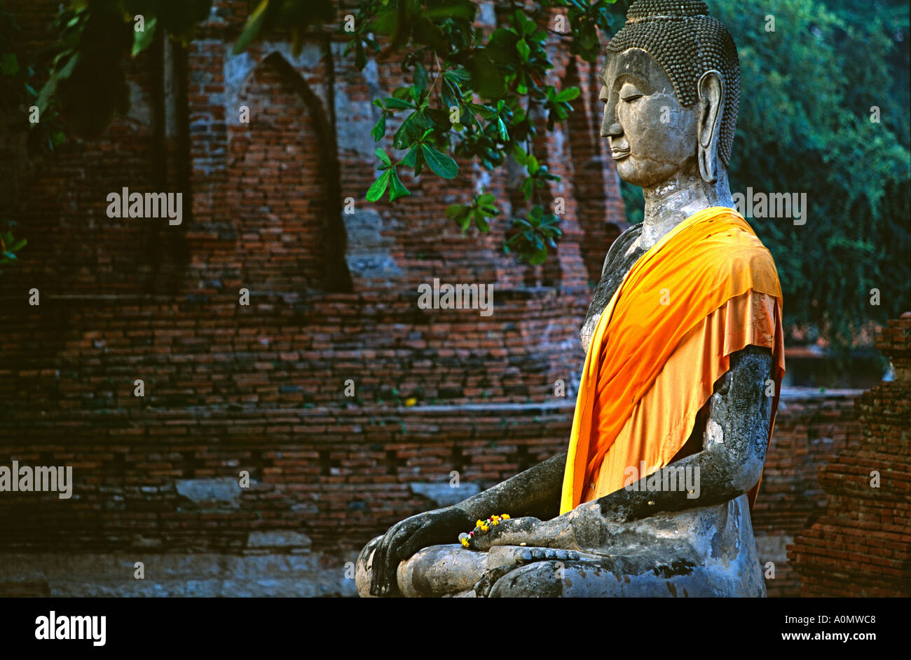 A Buddha Statue sits in the morning sun Stock Photo - Alamy