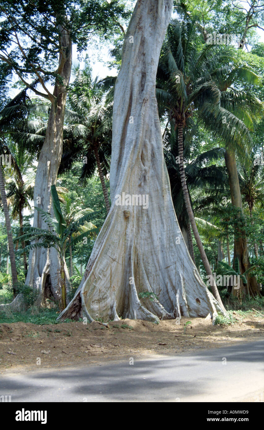 Jarkata hi-res stock photography and images - Alamy