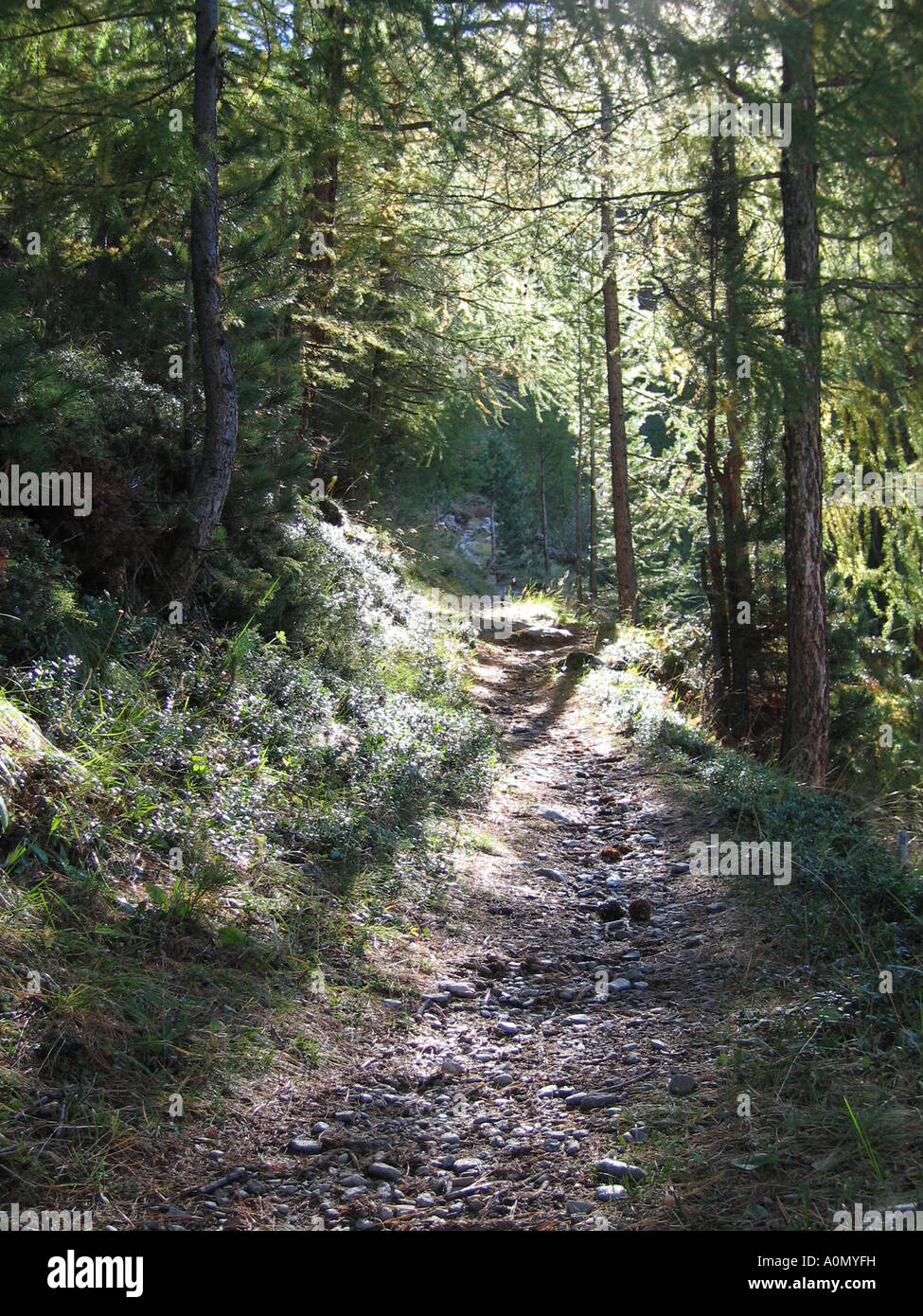 ALPINE scenery on the Walker's Haute Route trek from Chamonix, France ...