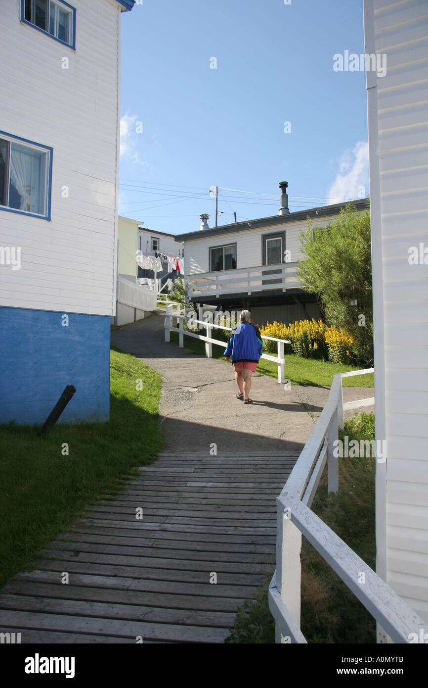 Hill-side Walkway at McCallum, NL Stock Photo - Alamy