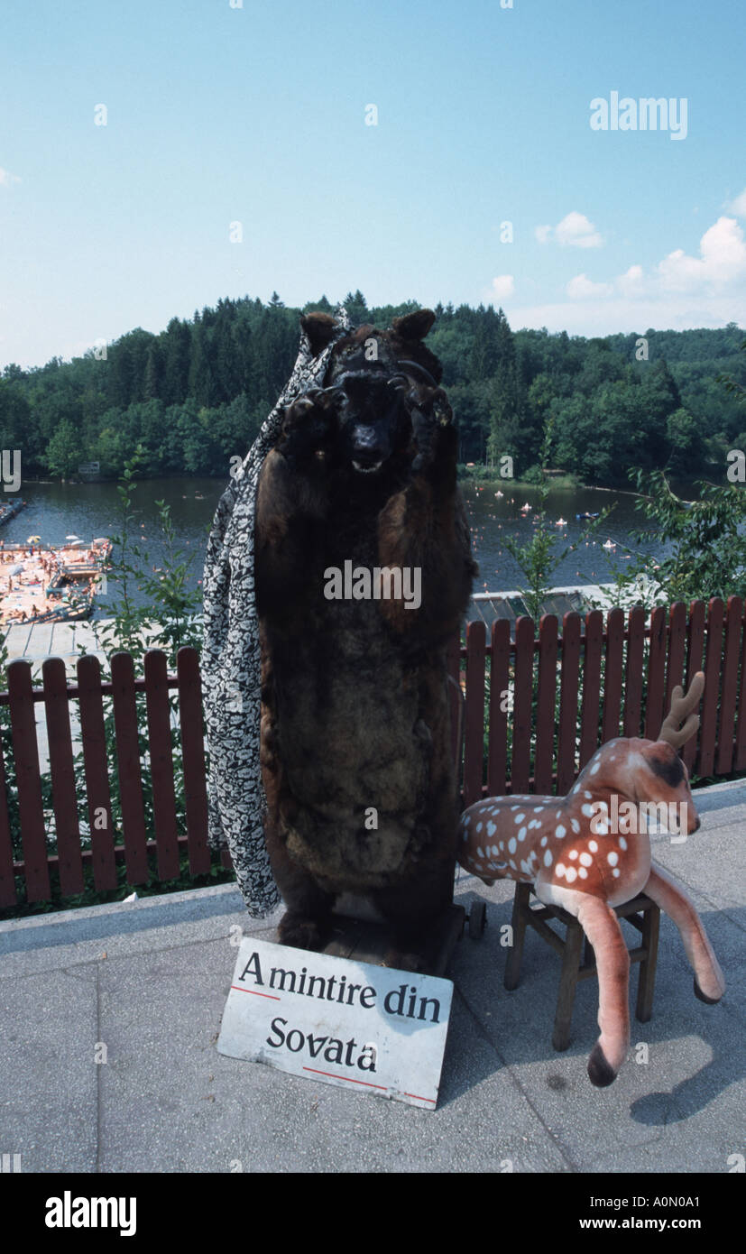 Lacul ursu hi-res stock photography and images - Alamy