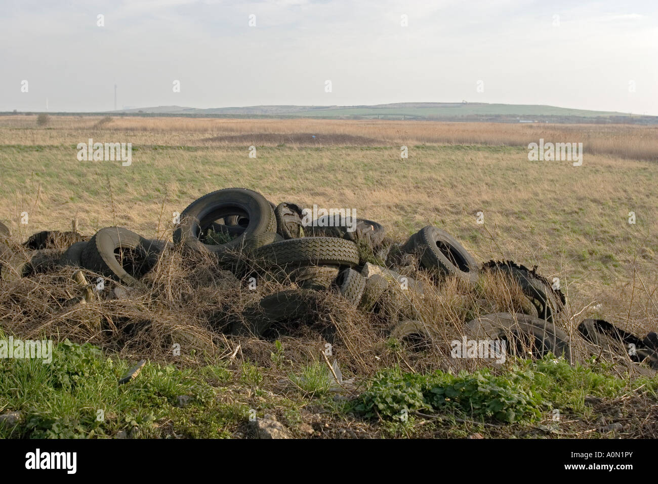 Tyres dumped in a field near Rainham, Essex Stock Photo - Alamy
