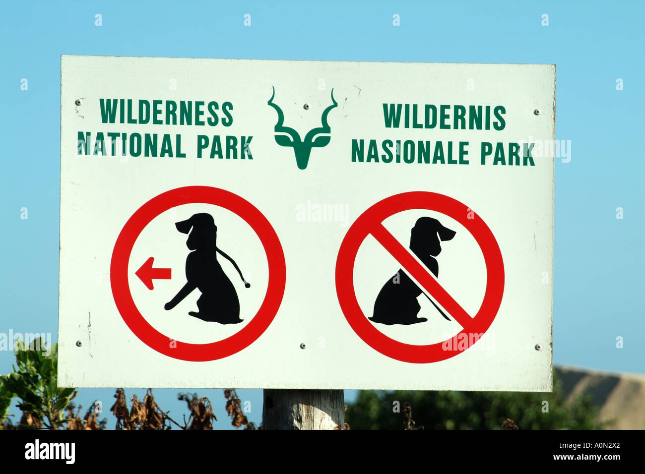 Notice at Wilderness National Park western cape South Africa RSA dogs ...