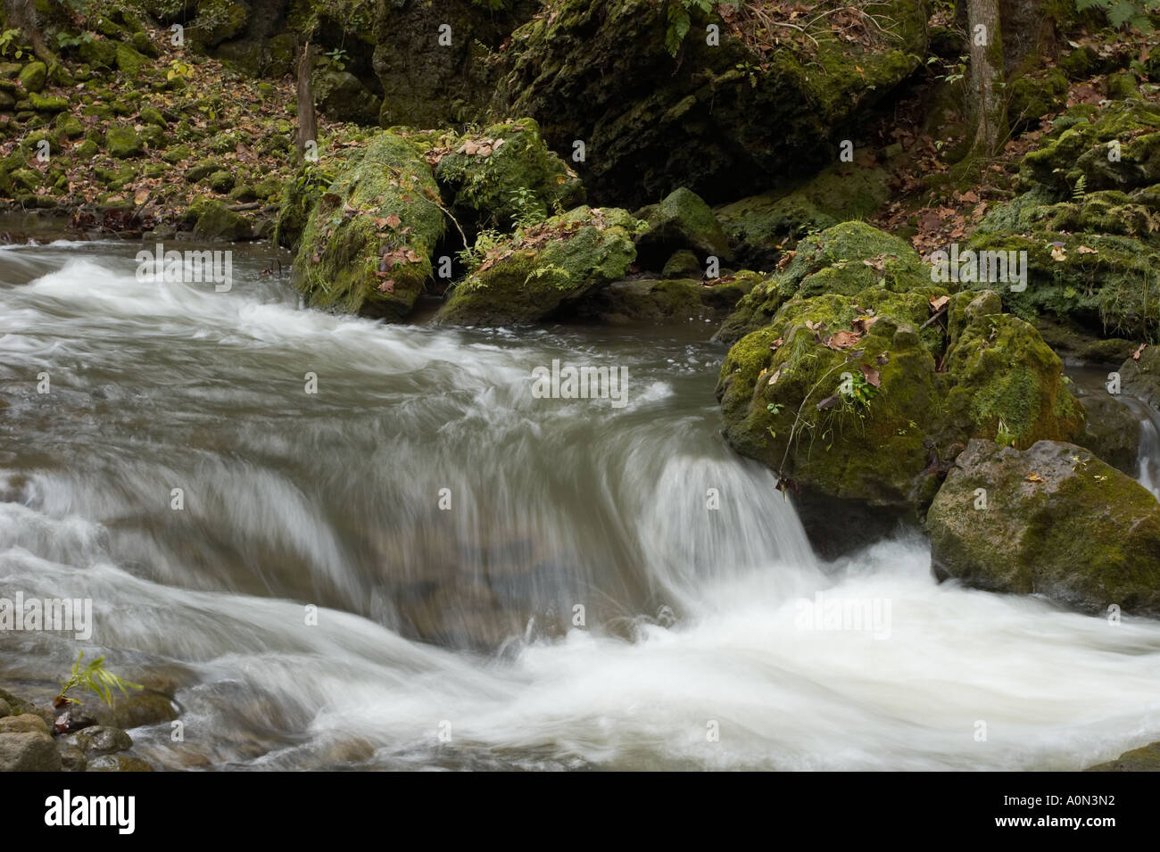 Rushing river water over rocks with orange, yellow, and green leaves in ...