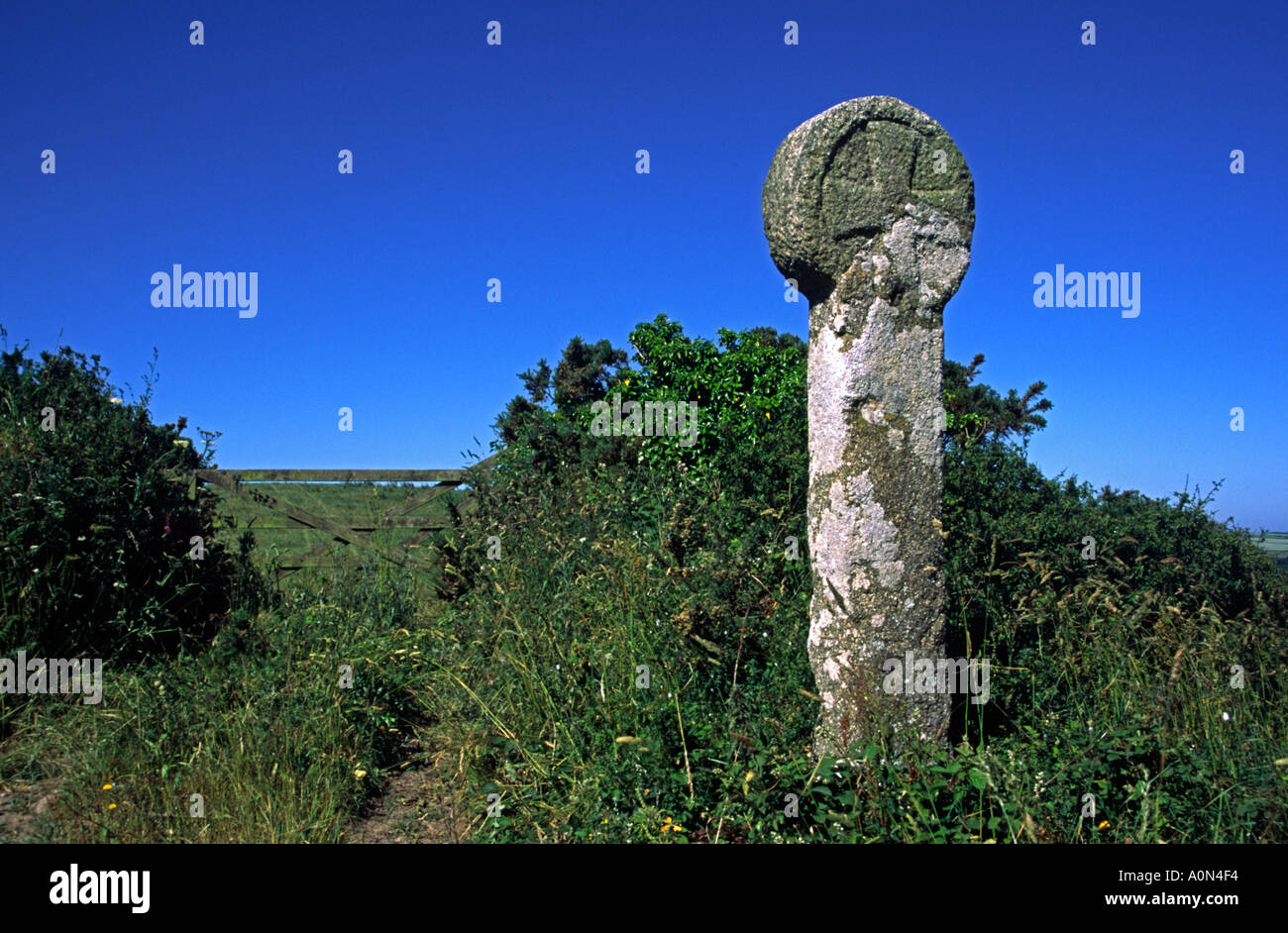 Wheel headed stone cross St Kew Cornwall England Stock Photo - Alamy