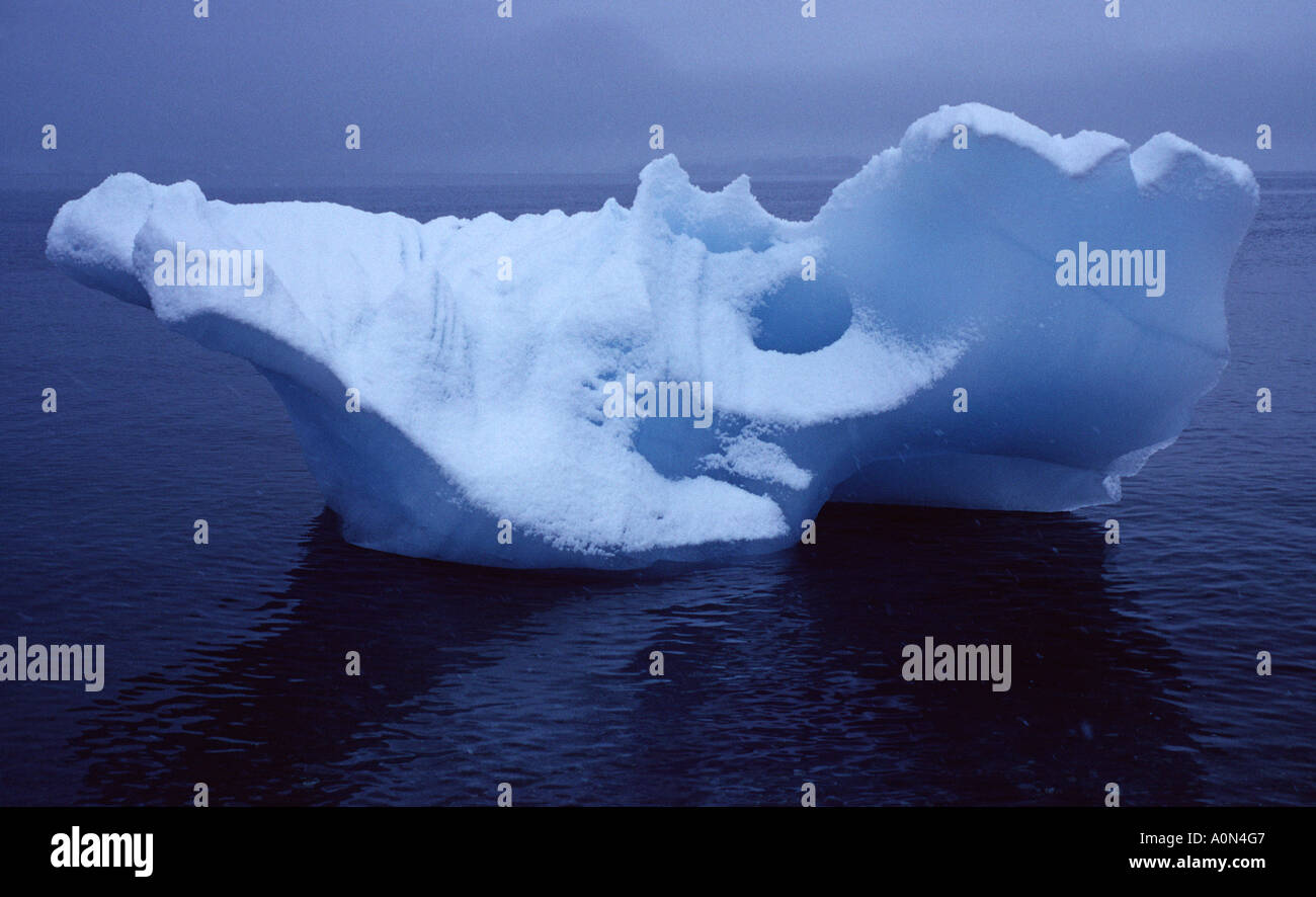 Icebird hi-res stock photography and images - Alamy