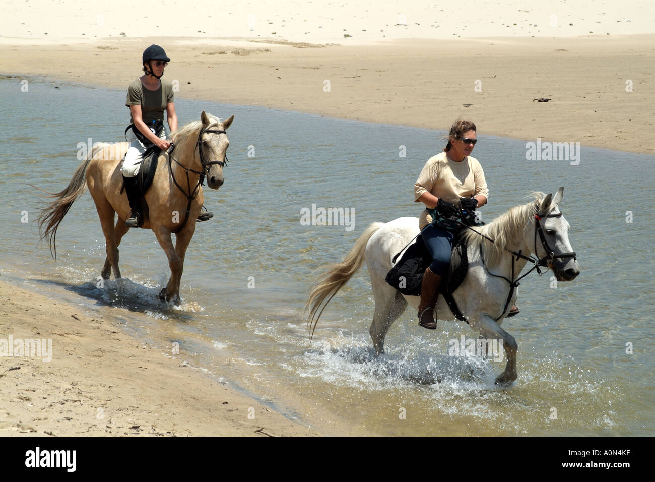Horse riders at Morgans Bay resort east coast South Africa RSA Cape ...