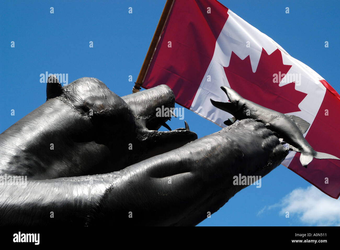 Sculpture of a bear catching a fish in front of Canadian flag Stock ...