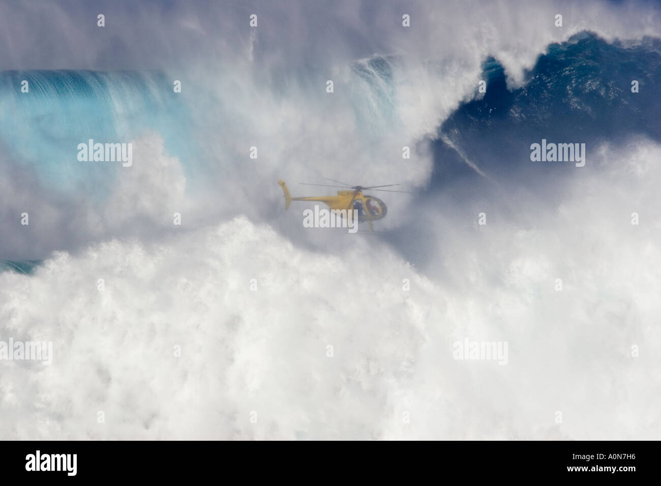 A helicopter filming a tow in surfer at Peahi, (Jaws) off Maui, Hawaii ...