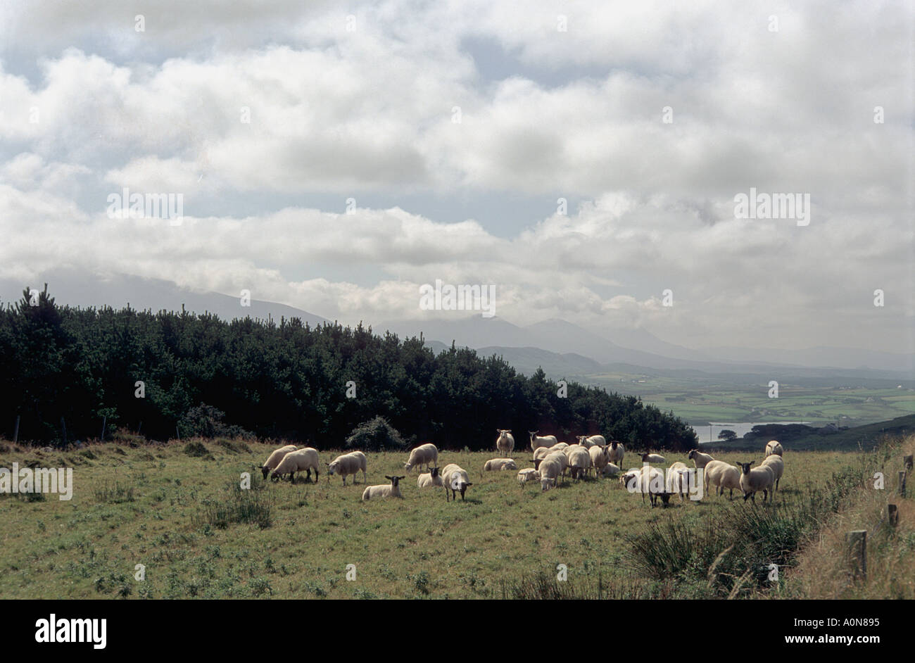 View Irish countryside Co Donegal Stock Photo - Alamy