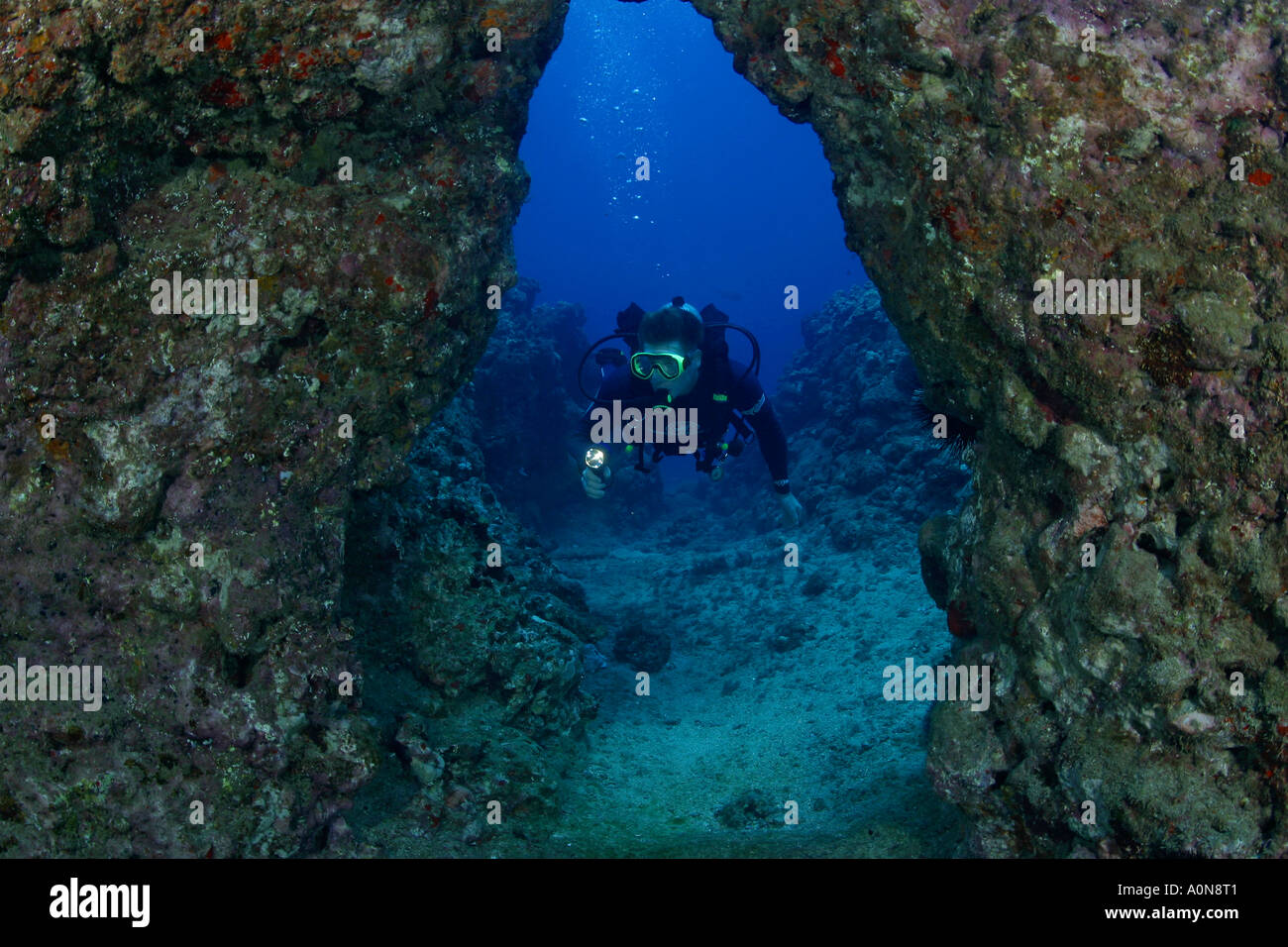 A diver (MR) pictured at a cavern enterance, Hawaii Stock Photo - Alamy