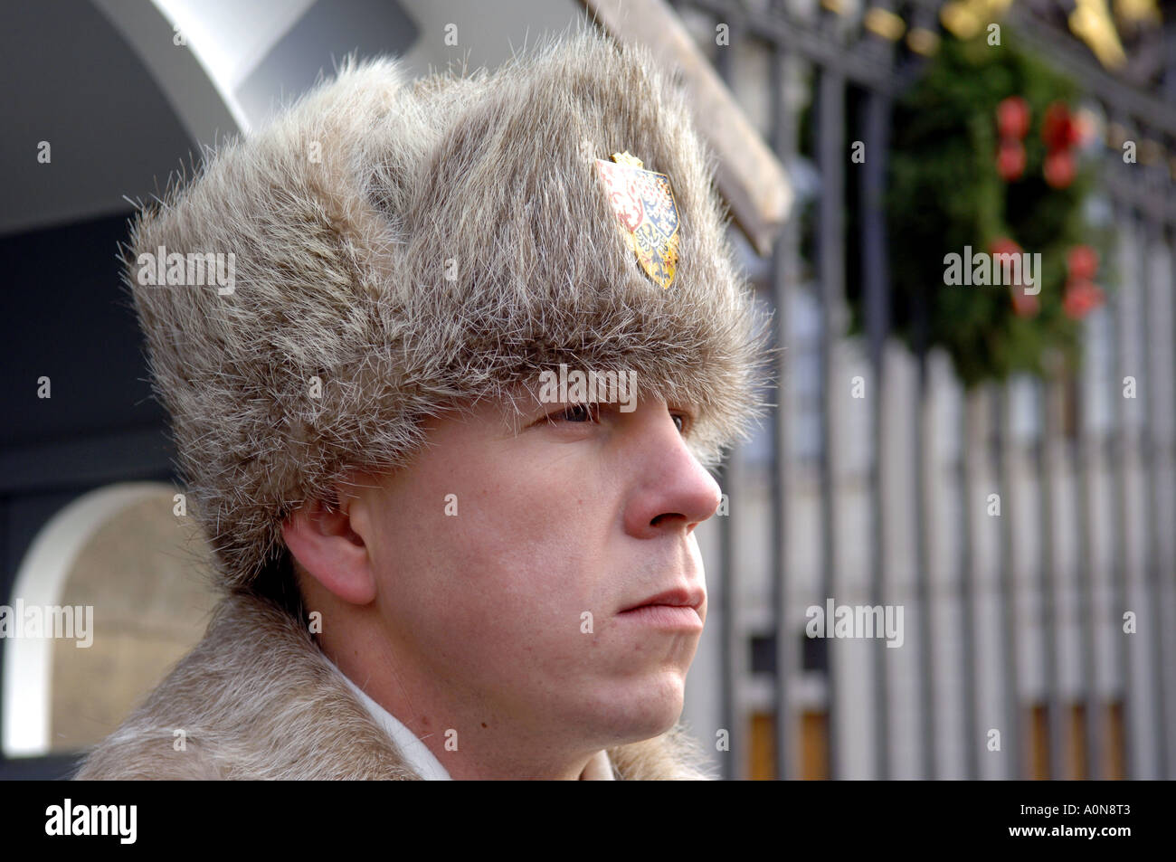 imperial palace guard soldier winter uniform hat cold fur skin official ...