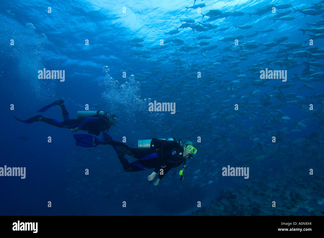 Male jacks hi-res stock photography and images - Alamy