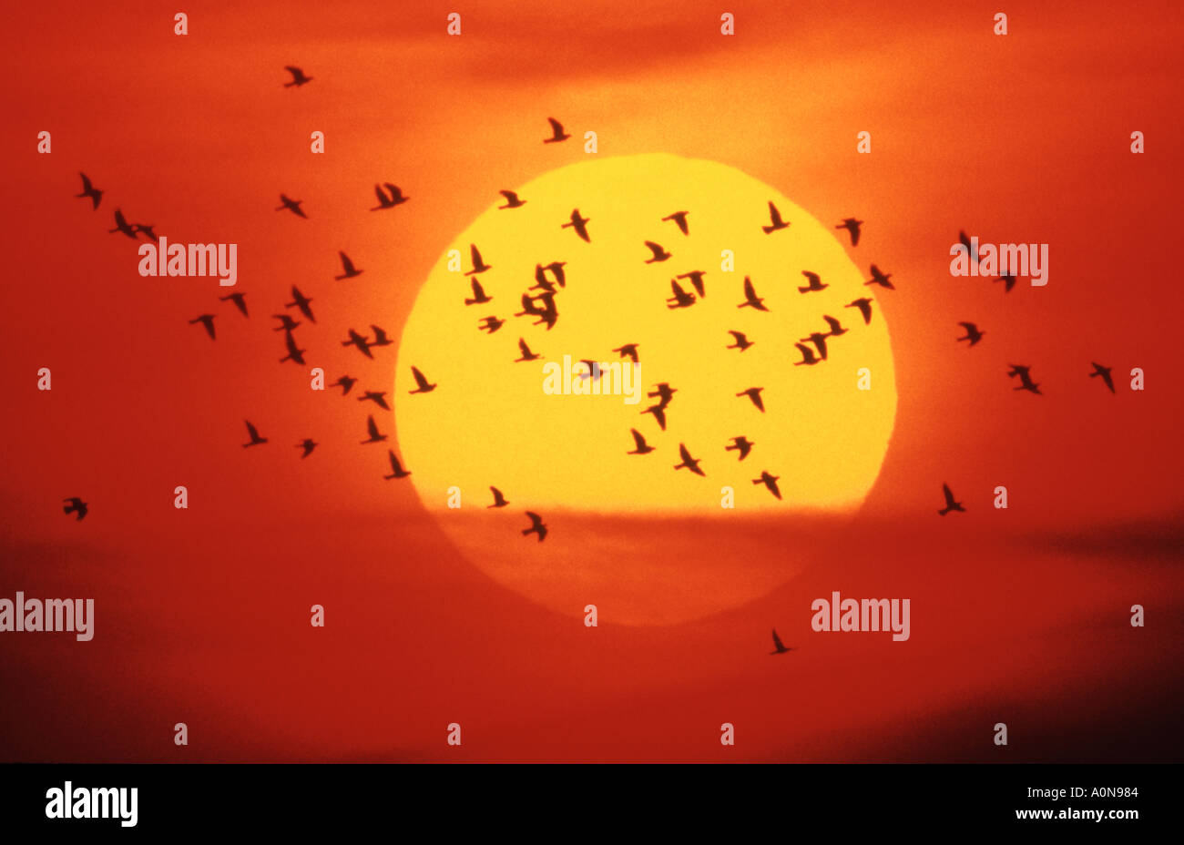 Flying across the sun hi-res stock photography and images - Alamy